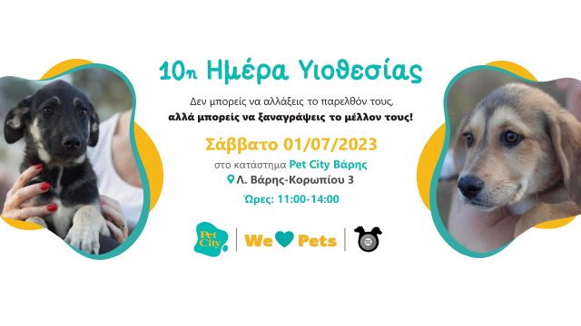 Μήπως ήρθε η στιγμή να υιοθετήσεις κι εσύ μια μουσούδα; | Thats Life ...