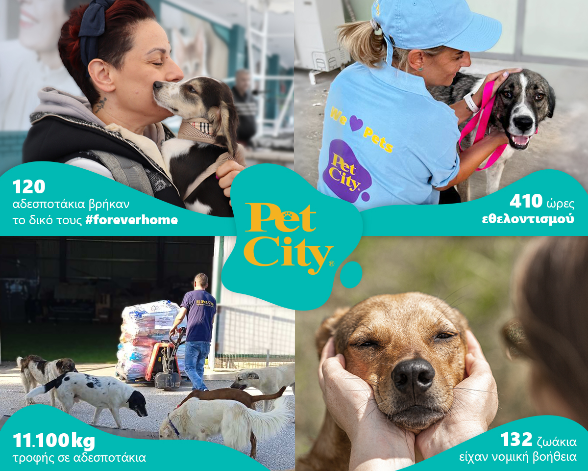 Act Pawsitive Pet City: Μια Χρονιά Αφοσίωσης και Αγάπης προς τα Ζώα ...